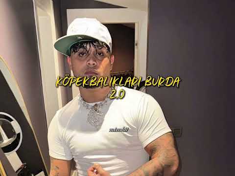 meduza x köpek balıkları burda ||| köpek balıkları burda 2.0 mixed by me (tiktok: mixohitt.94)