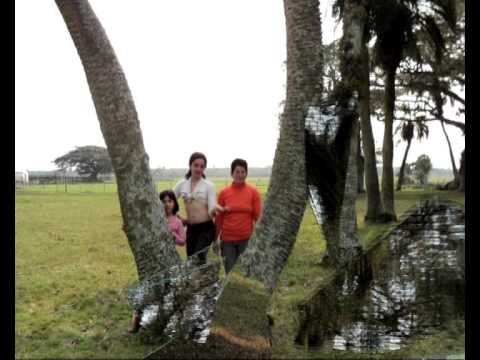 Rita Denise - Umberto Tozzi - Eva.avi - YouTube