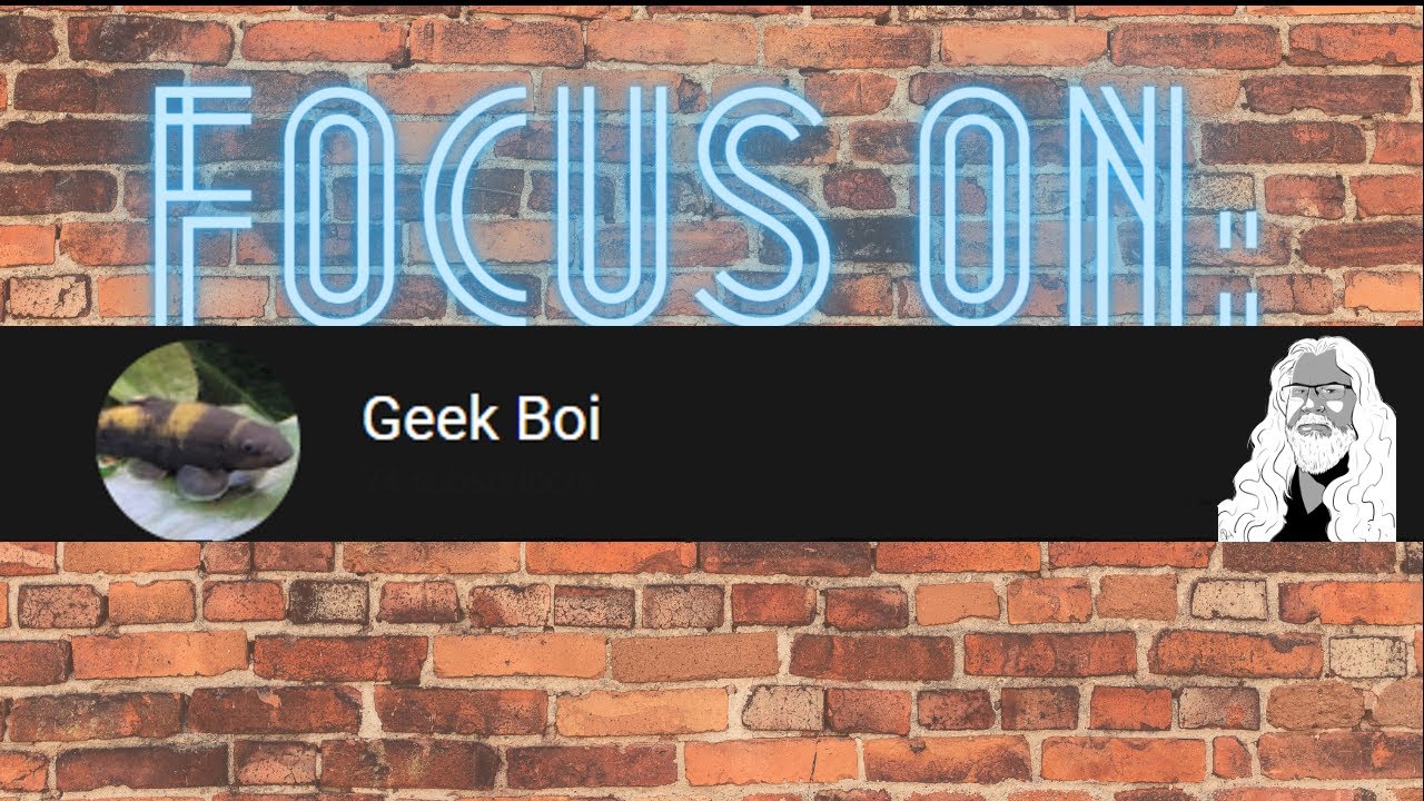 Focus On: Geek Boi - YouTube