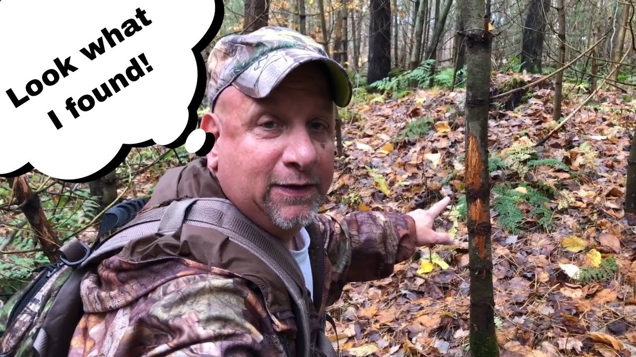 Best Way To Scout Public Land For Hunting - YouTube