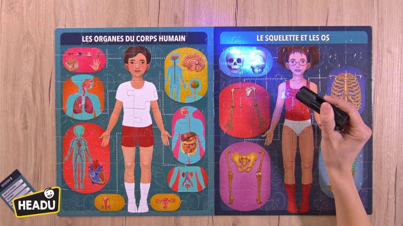 FR Le Corps Humani aux Rayons X - YouTube