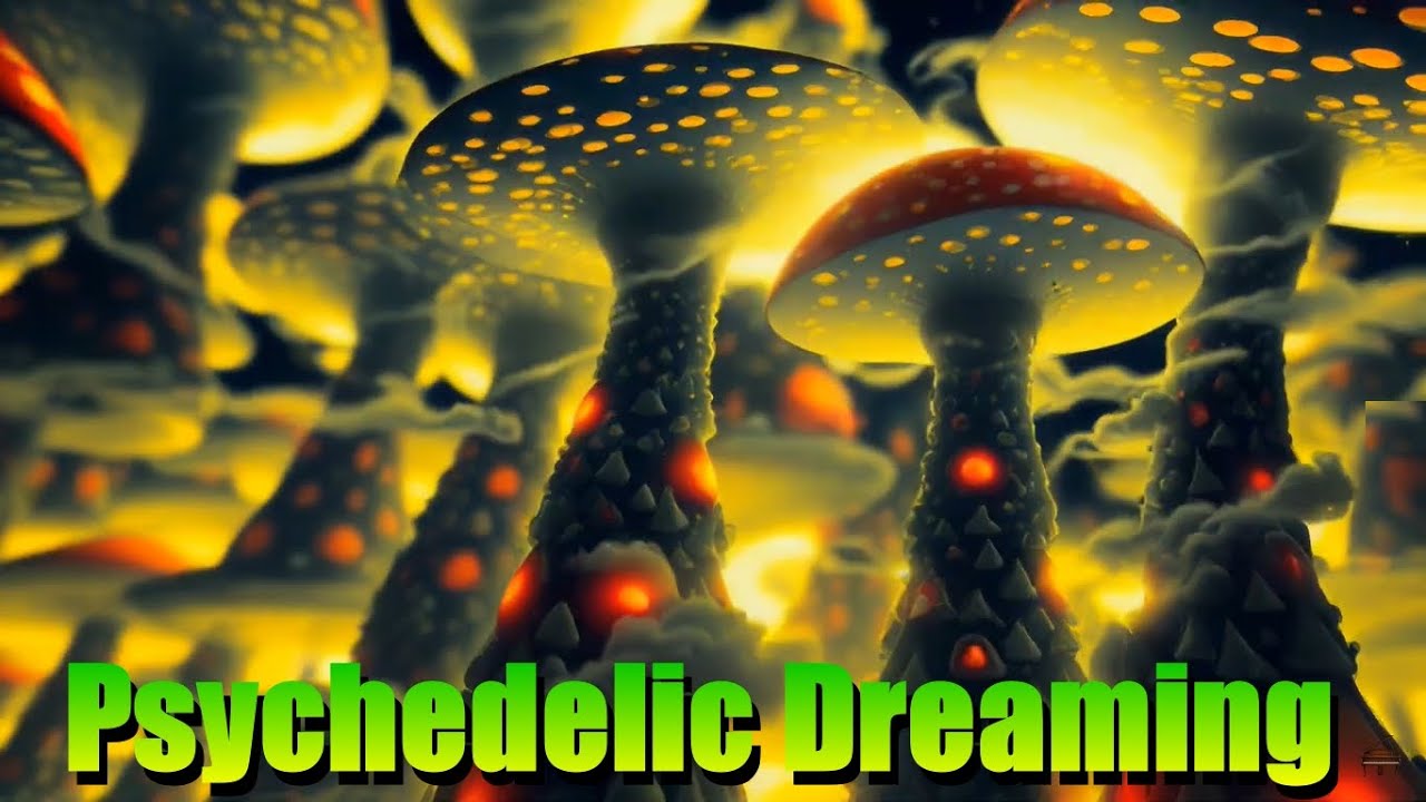 Psychedelic Dreaming - Fall Asleep Fast - Mind Trip Journey - Rapid ...