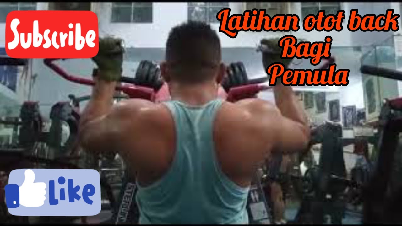 latihan otot back/punggung bagi pemula - YouTube