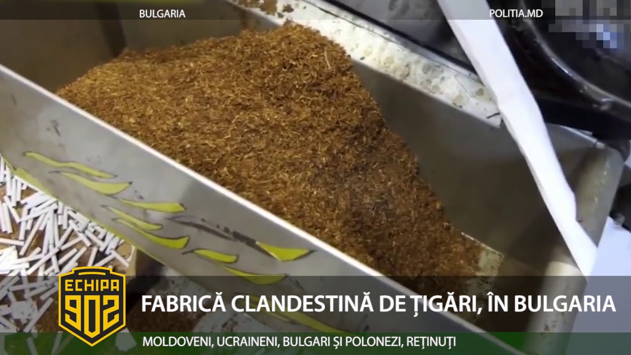 FABRICĂ CLANDESTINĂ DE ȚIGĂRI, ÎN BULGARIA - YouTube