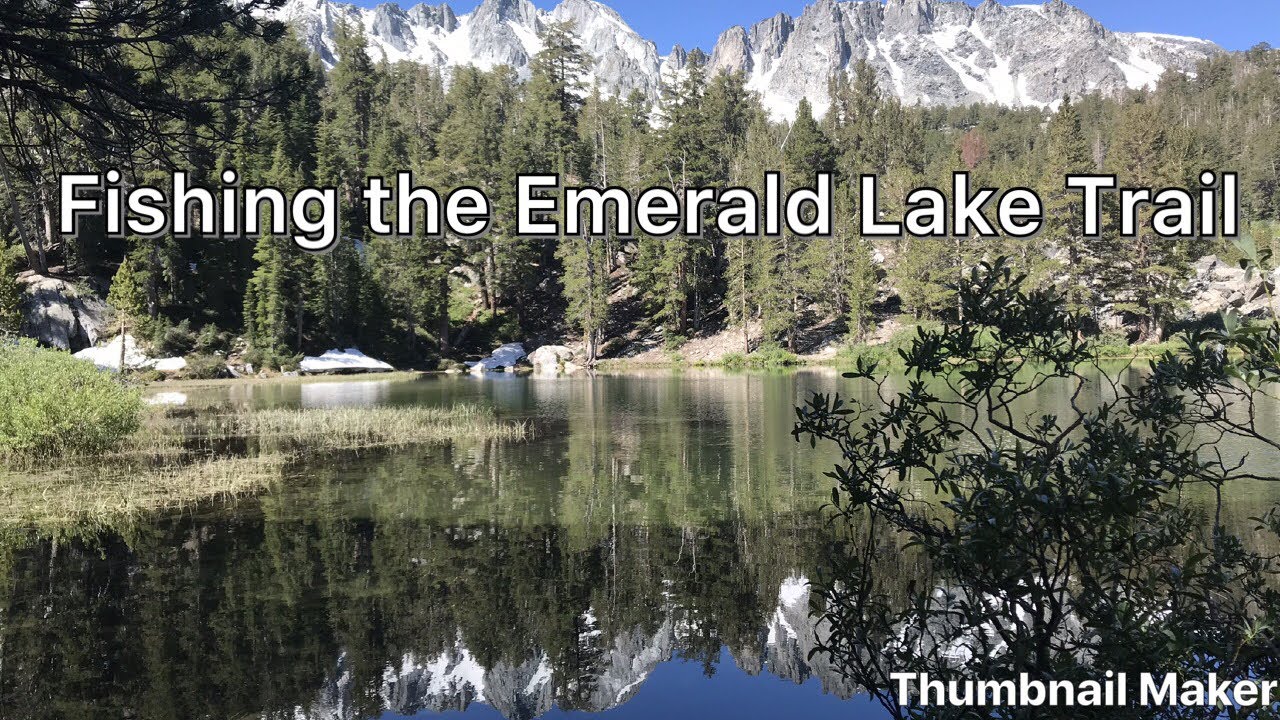 Fishing the Emerald Lake Trail - YouTube