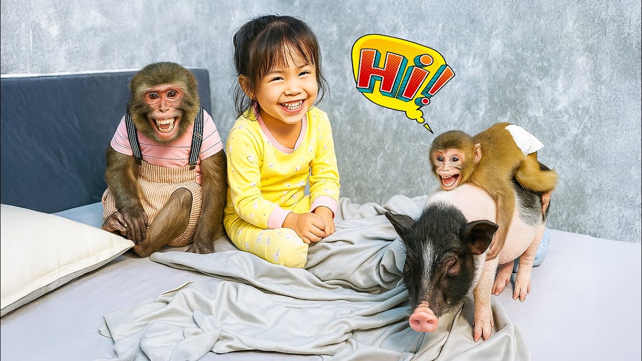 Monkey YiYi plays joyfully with sister to spark epic fun moments! - YouTube
