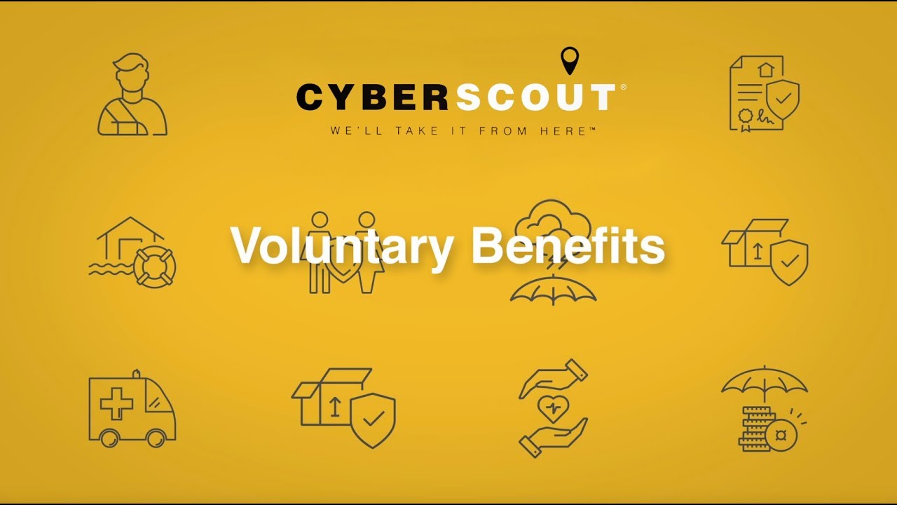 CyberScout - Voluntary Benefits - YouTube