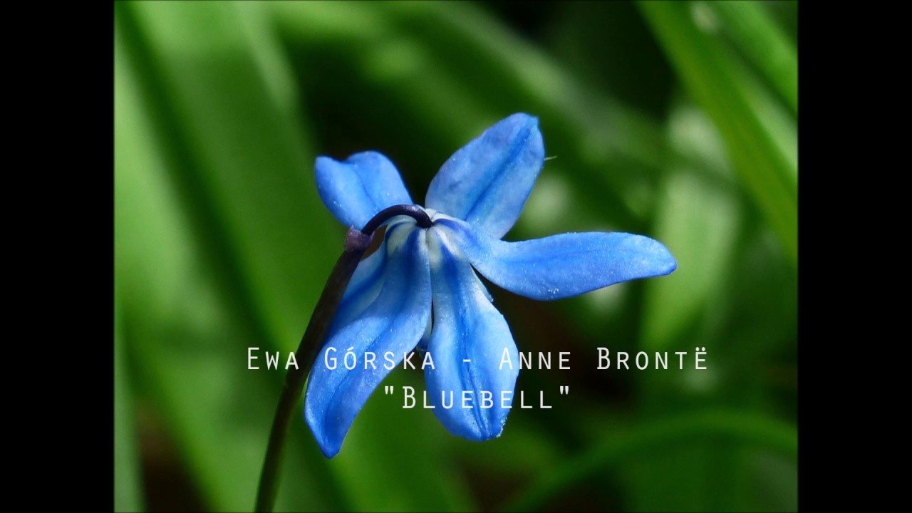 BLUEBELL Ewa Górska/E.A.R. live (2004) - based on poem of Anne Bronte ...