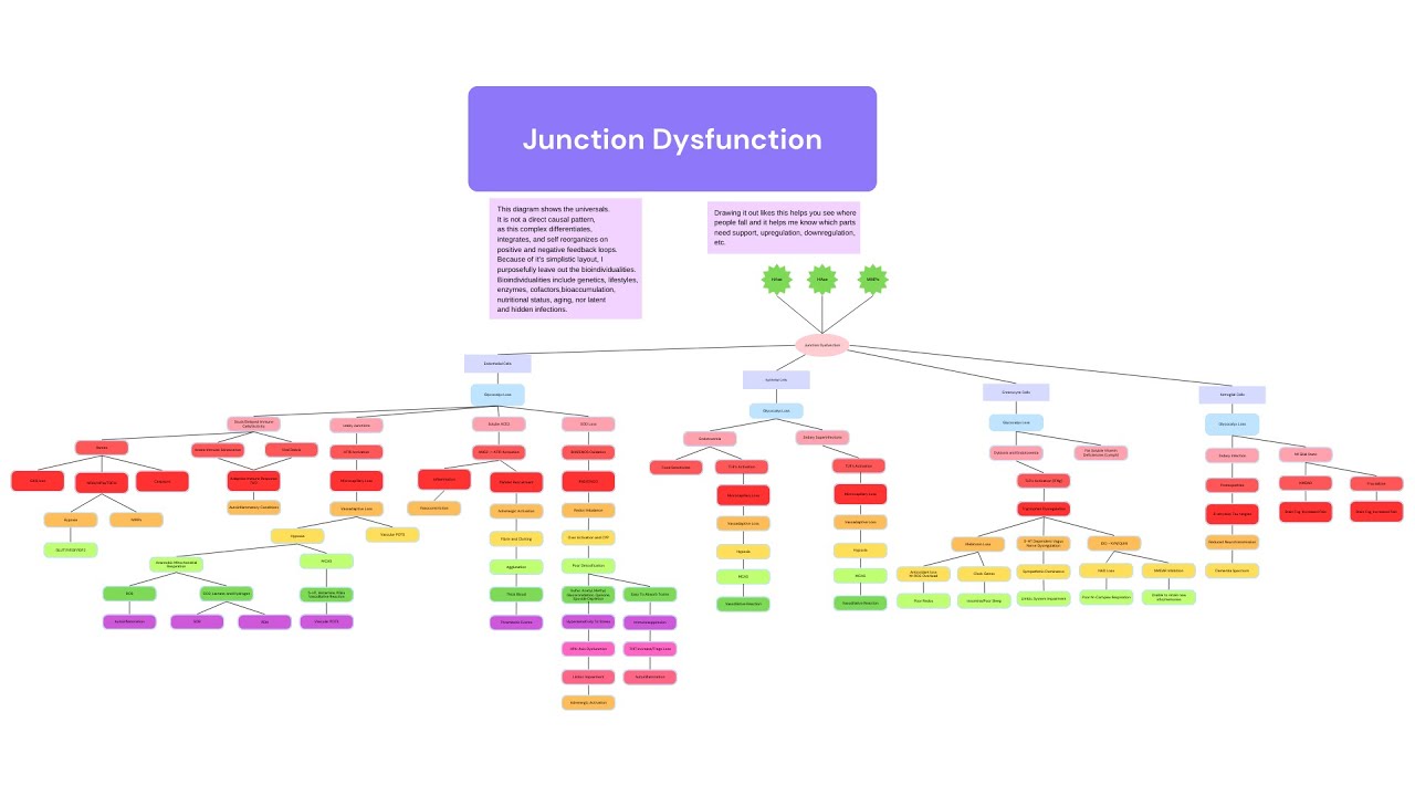 Mechanisms of Junction Dysfunction and Post Viral Illness (Full ...