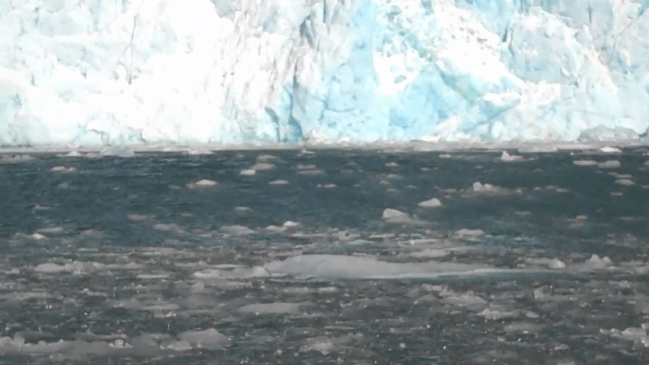 Glacier Calving creates Tsunami-like Waves! Dawes Glacier, Alaska - YouTube