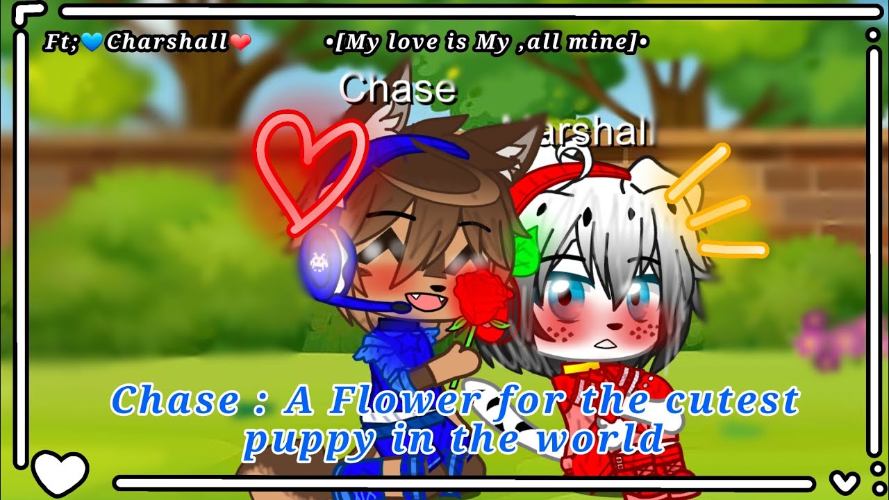 🌺 {Gacha Club 🍁 Paw Patrol} 🌺 A Flower for the cutest puppy in the ...