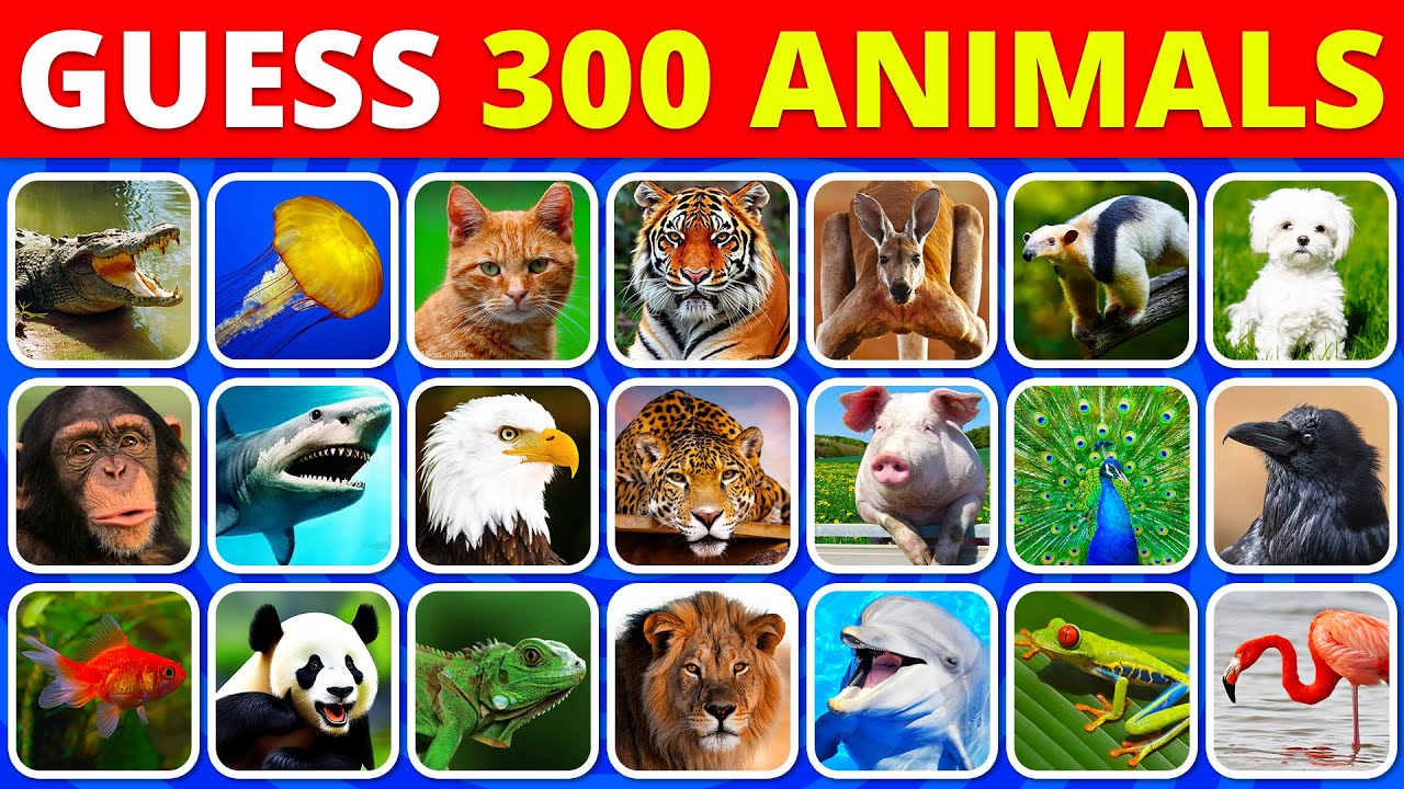 Guess 300 ANIMALS in 3 Seconds 🐱🦁🐵 | EASY to IMPOSSIBLE - YouTube