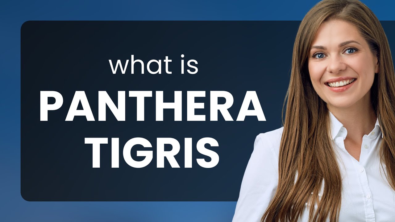 Panthera tigris • PANTHERA TIGRIS meaning - YouTube