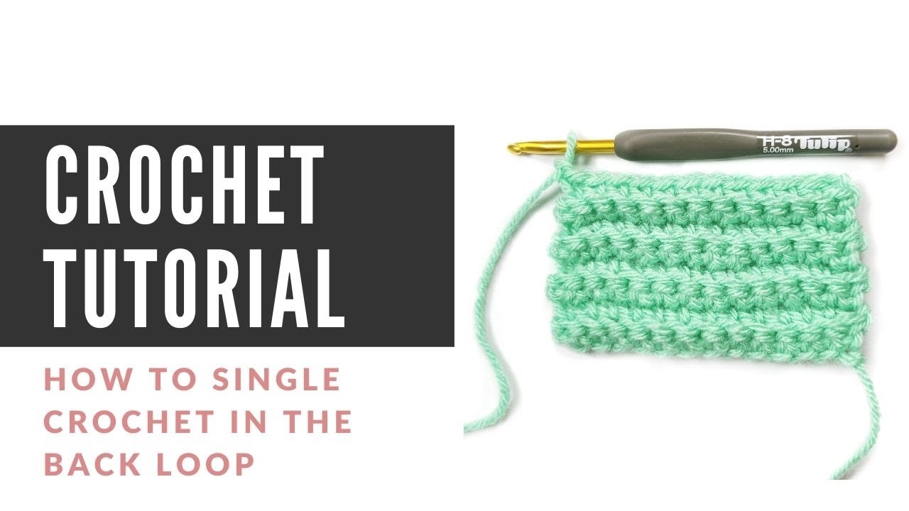 How to Single Crochet Back Loop Tutorial - YouTube