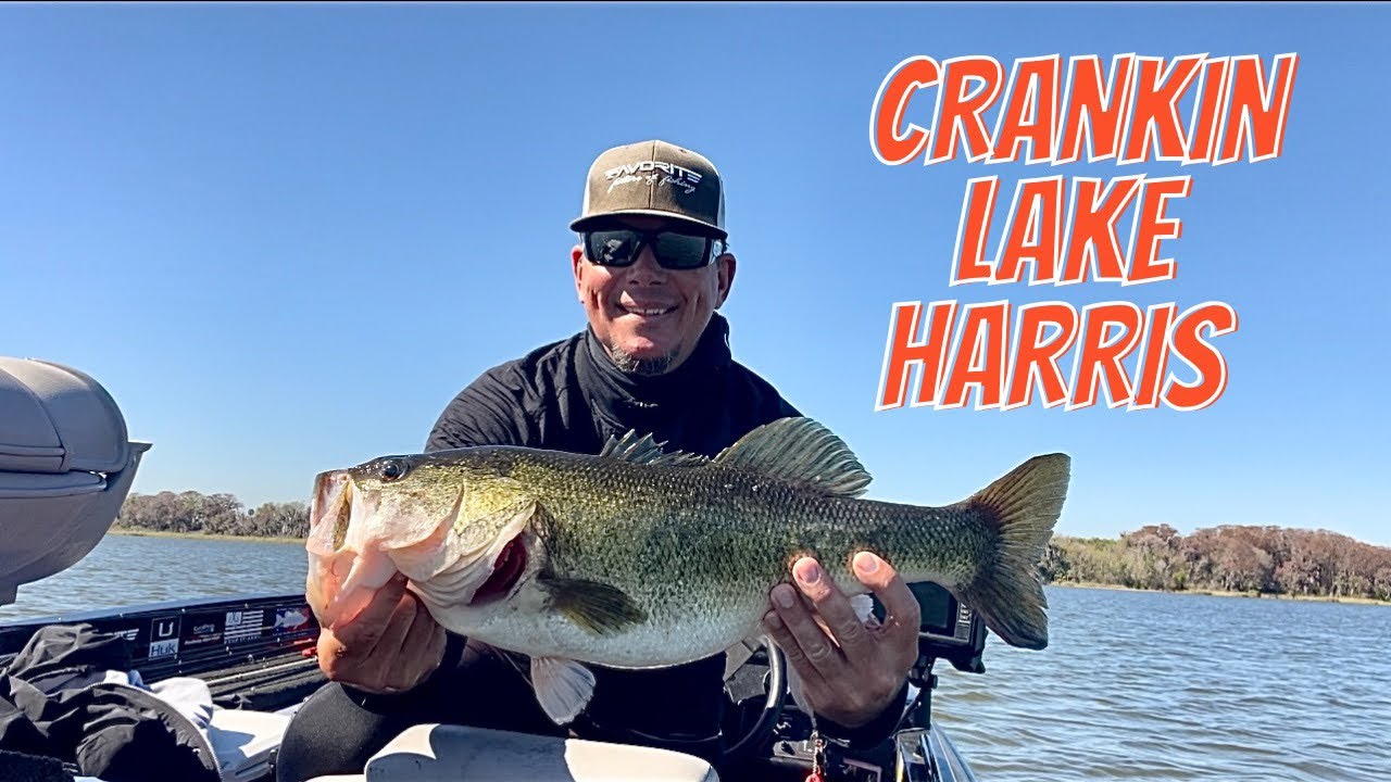 Fishing Offshore Grass On The Harris Chain Of Lakes! Lake Harris ...