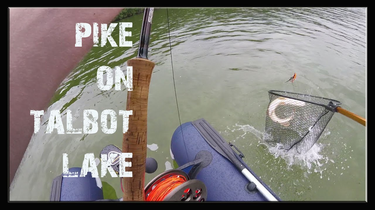 Fly Fishing Talbot Lake, Jasper PIKE - YouTube