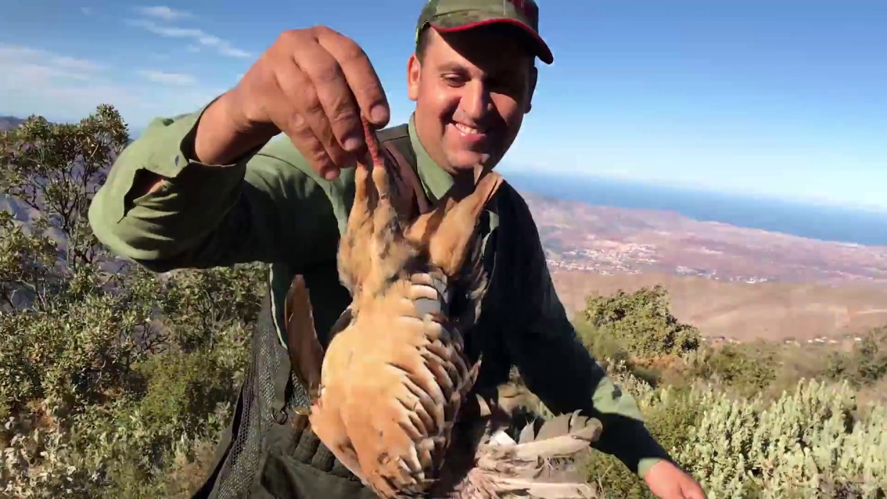 A la découverte du Rif dans le nord du Maroc (Al Hoceima) Vlog#009 ...