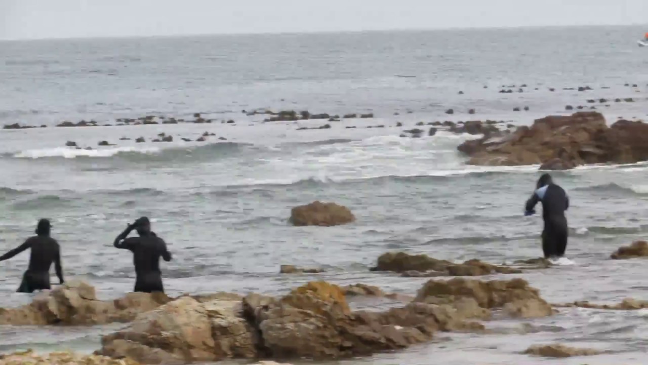 Poachers entering water at Kleinbaai harbour - YouTube
