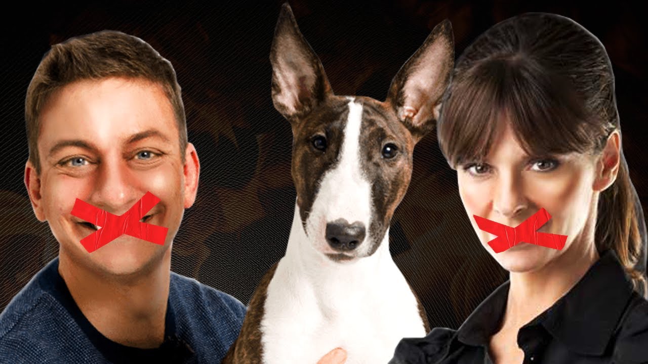 The SECRET to your dog's happiness (Dog trainers tell you NOT to do ...