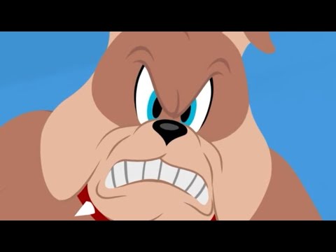 KaydenVE's Wacky Cartoon Bloopers #45: What Has Happened To "Tom Cat ...
