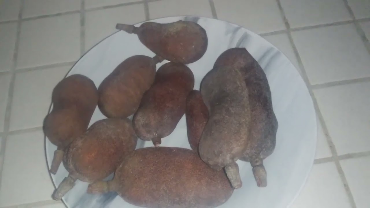 Health Benefits Of Locust Fruit (Stinking Toe) - YouTube