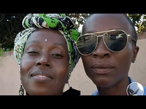 Spend your Sunday in the Sun 🌞 - YouTube