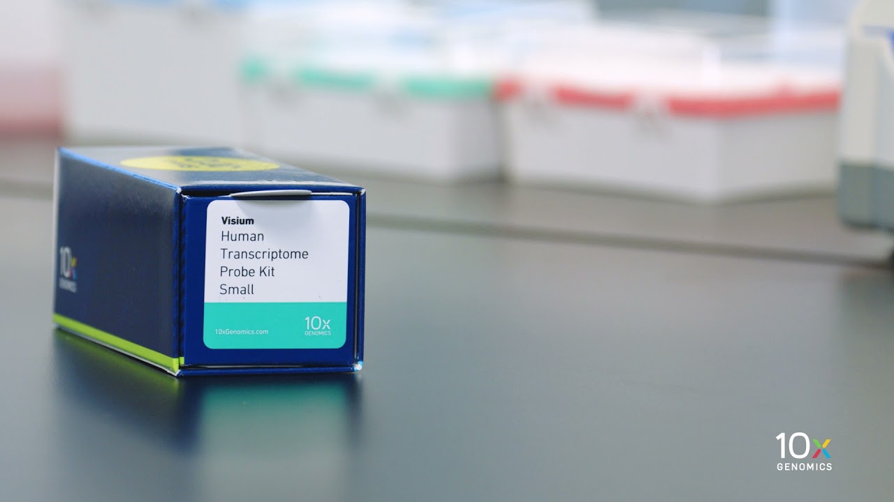 Visium for FFPE Gene Expression Protocol | Getting Started - YouTube