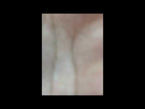 31 cektim (yarragim kanadi)