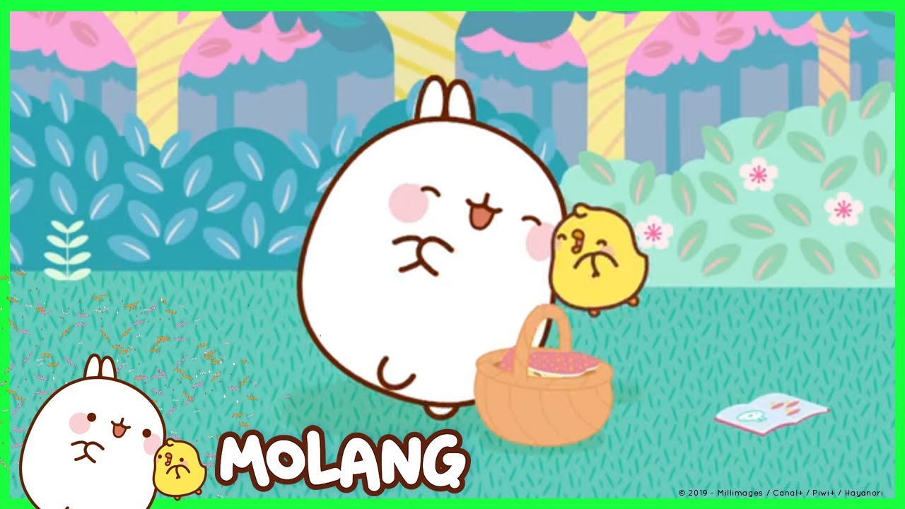 Molang - The Forest | More @Molang ⬇️ ⬇️ ⬇️ - YouTube
