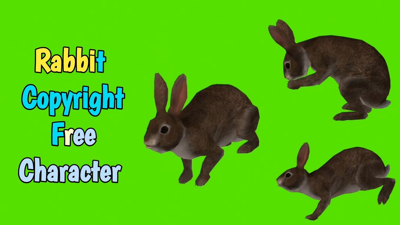 Rabbit Green Screen Video Free Download / Green Screen Rabbit Running ...