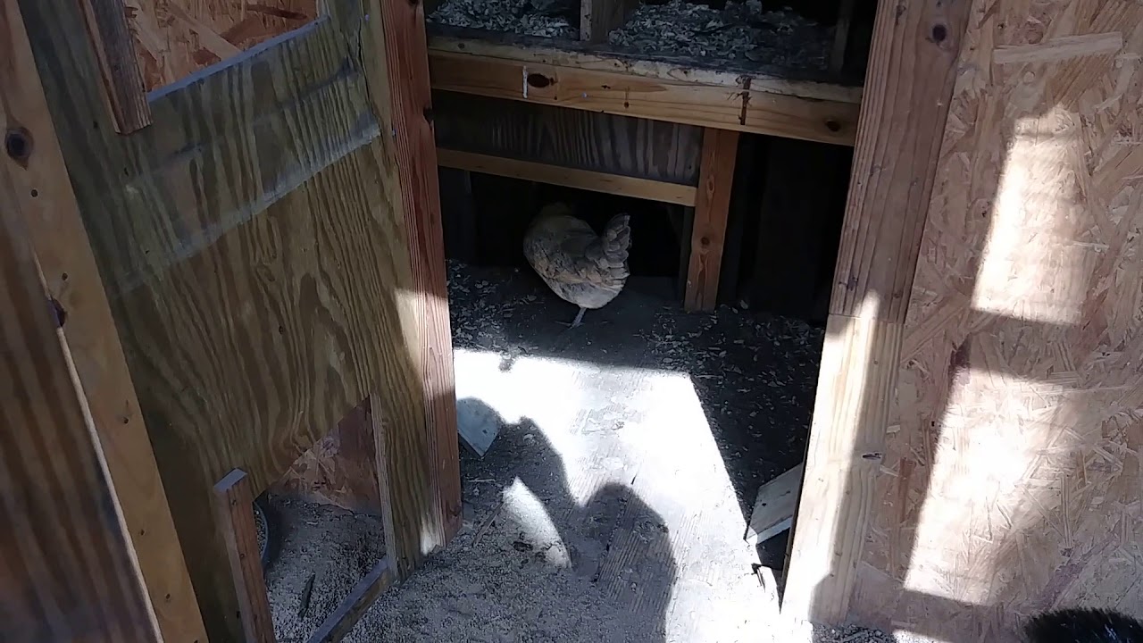 Feeding Wendy - YouTube