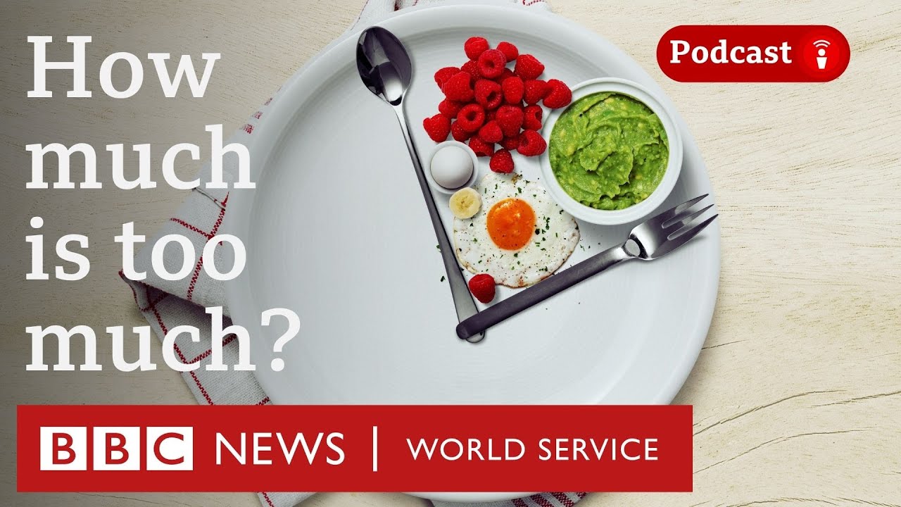 Portion sizes: Am I eating the right amount? - The Food Chain podcast ...