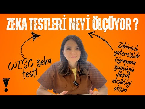 ZEKA TESTLERİ NEYİ ÖLÇÜYOR ?