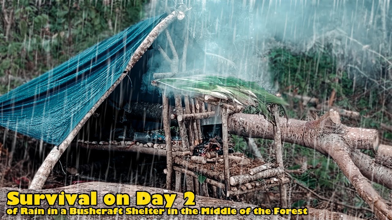 Day 2 Survival in a Warm and Cozy Bushcraft Shelter in the Rain Season ...