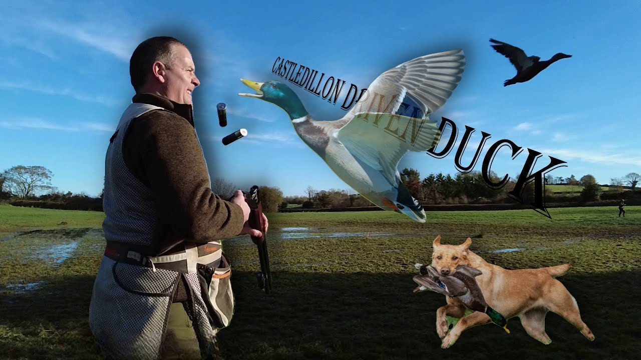 Driven High Duck In Castledillon 2023 - YouTube