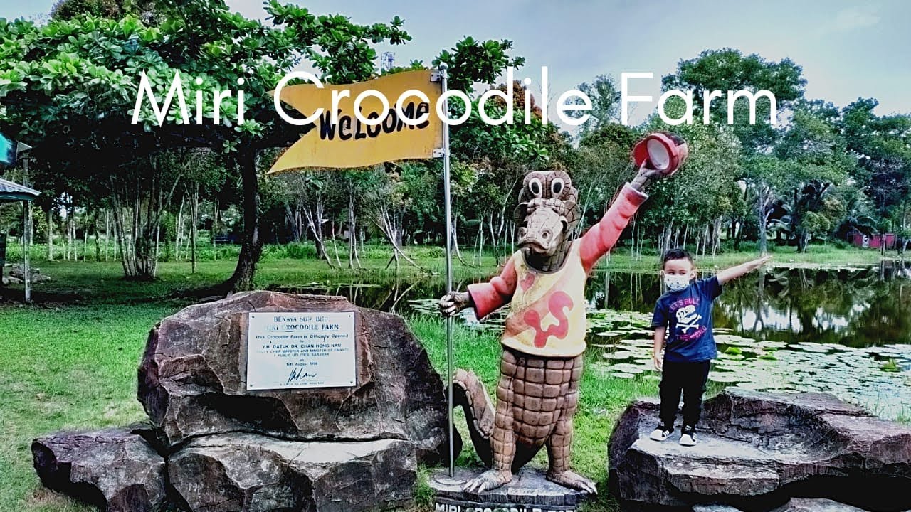 Miri Crocodile Farm, Sarawak...🐊🐊 - YouTube