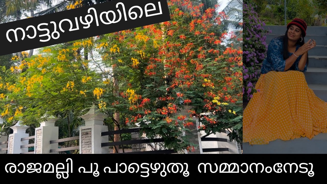 നട്ടുവഴിയിലെ സ്റ്റൈലുകാരി രാജമല്ലി / പാട്ടെഴുതൂ സമ്മാനം നേടൂ ...