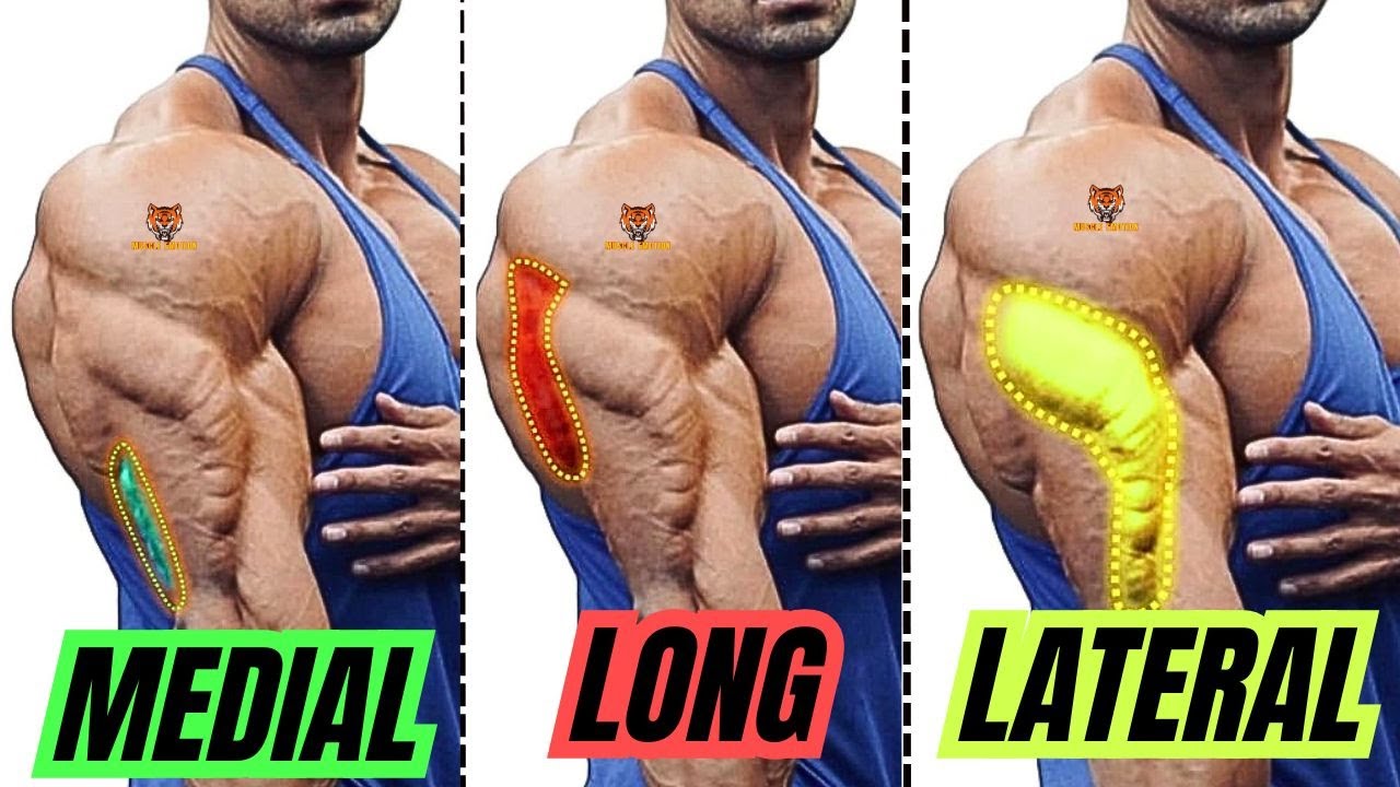 TOP 4 TRICEPS WORKOUT WITH CABLE AT GYM / LONG HEAD / LATERAL HEAD ...