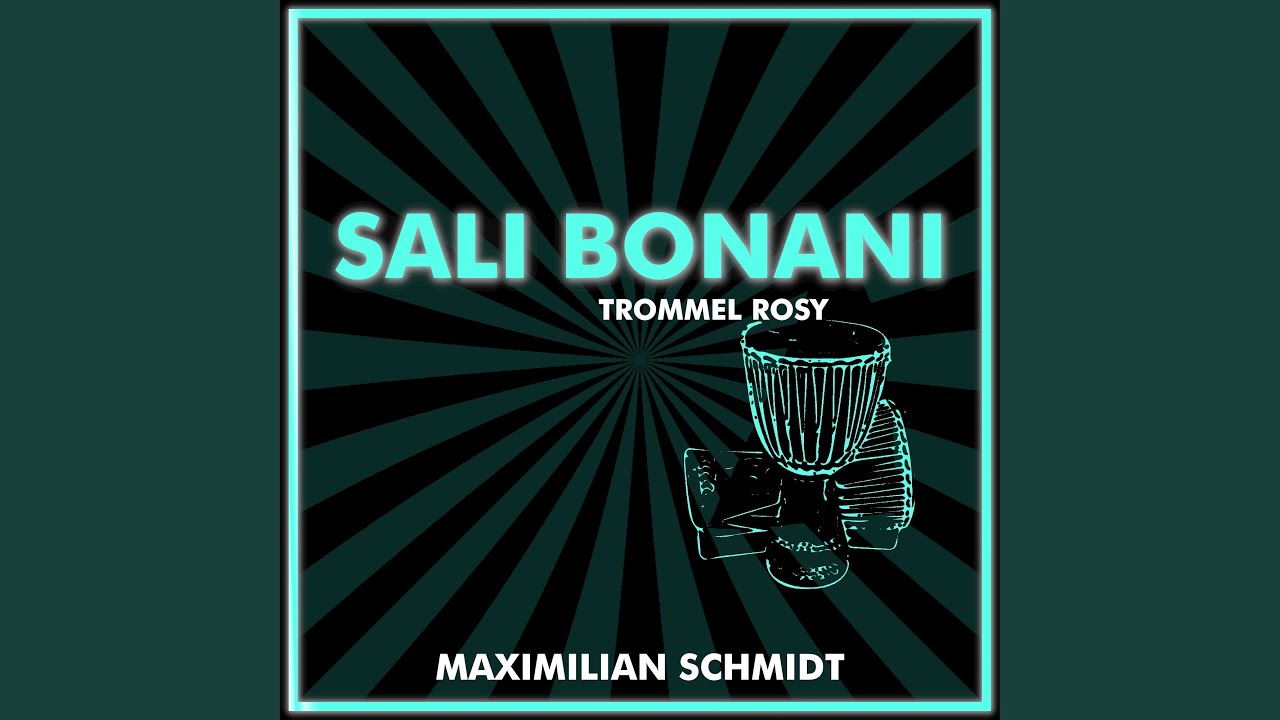 Sali Bonani (Maximilian Schmidt Remix) - YouTube