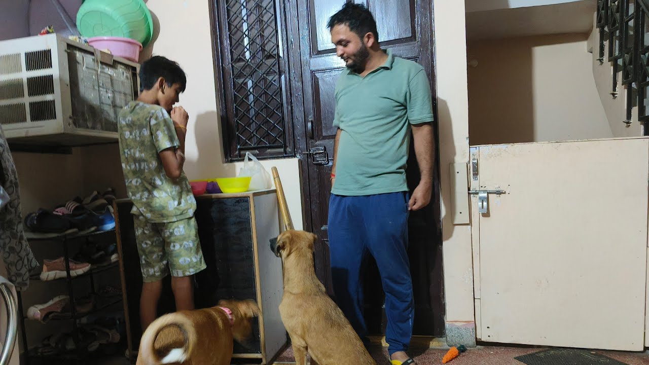 barish main dogi ki masti dekho - YouTube