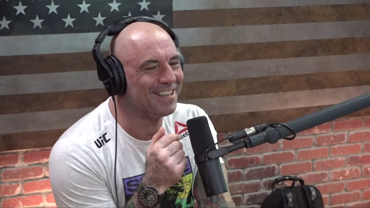 Joe Rogan on Rico Verhoeven/Badr Hari Rematch - YouTube