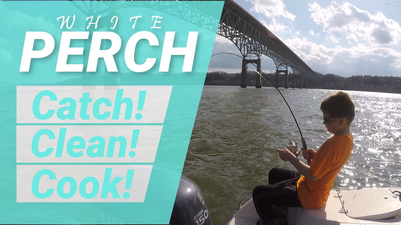 How to Catch-Clean-Cook White Perch! EASY and Delicious!!! {EP-07 ...