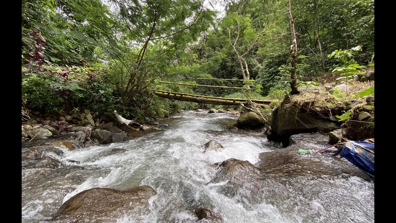 THIS IS INSANE! Gentle River Sounds for Instant Relaxation & Deep Sleep ...