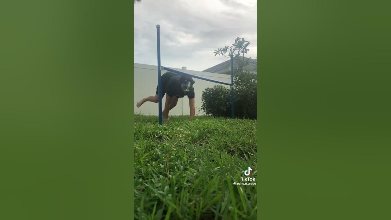 Therian Jumping Pt 1 Youtube