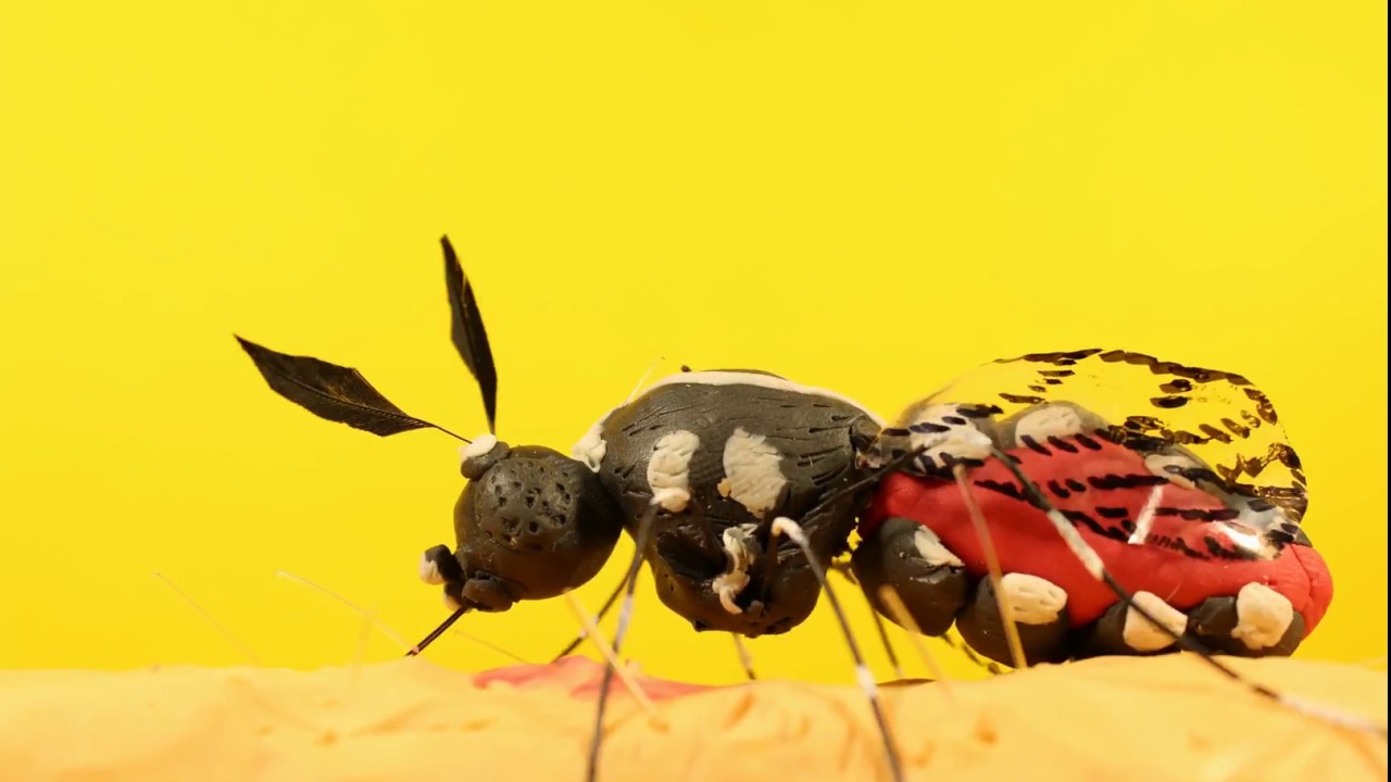 Mosquito (clay animation) - YouTube