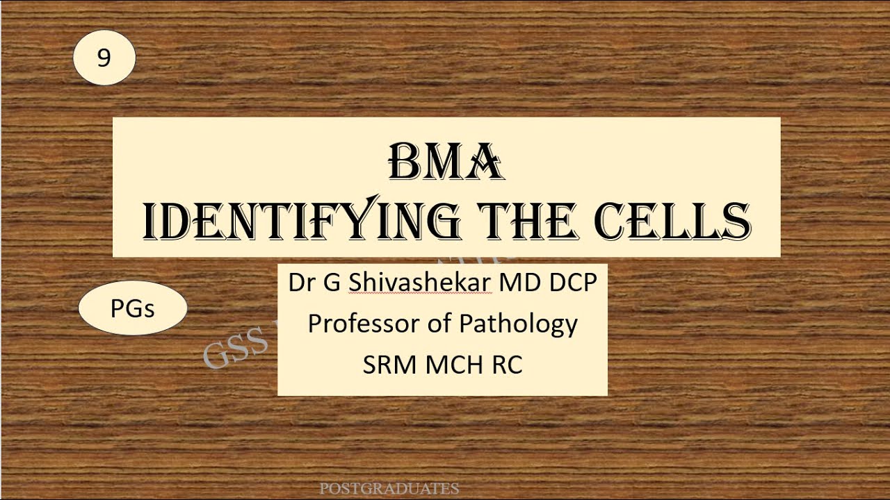 BMA - Identification of cells 2 Dr GSS SRM MCH RC - YouTube