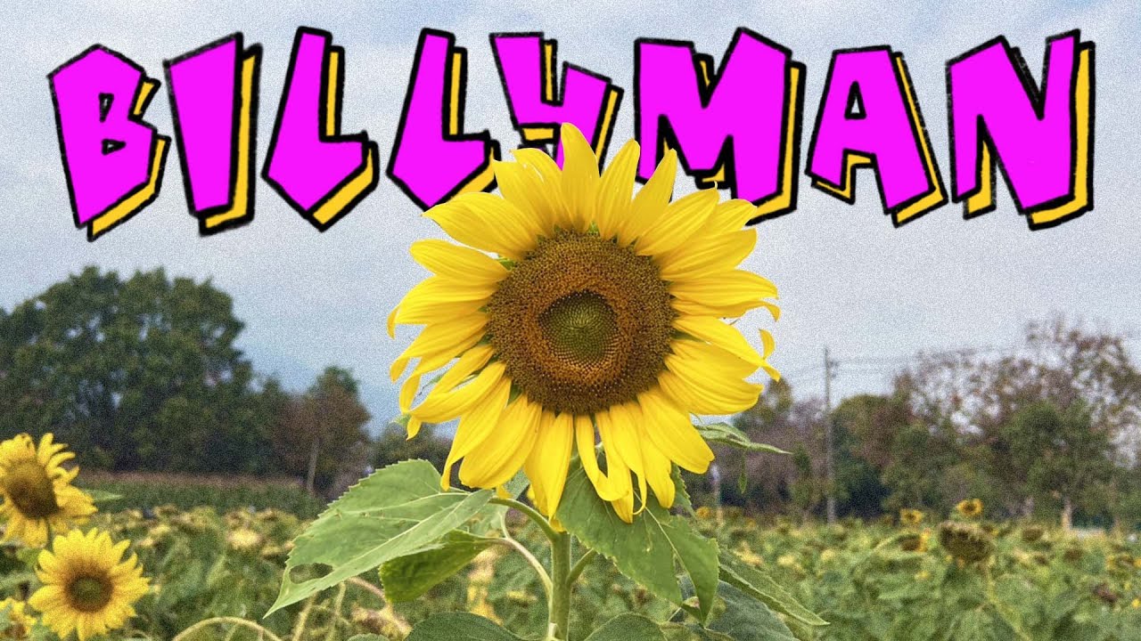 งดงาม - Billyman [OFFICIAL LYRICS VIDEO] - YouTube
