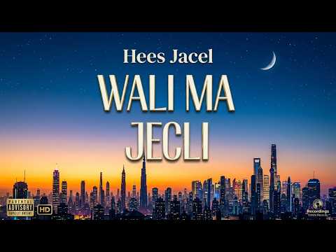 hees jacel Wali Ma Jecli — I Still Don’t Love You Romantic Song