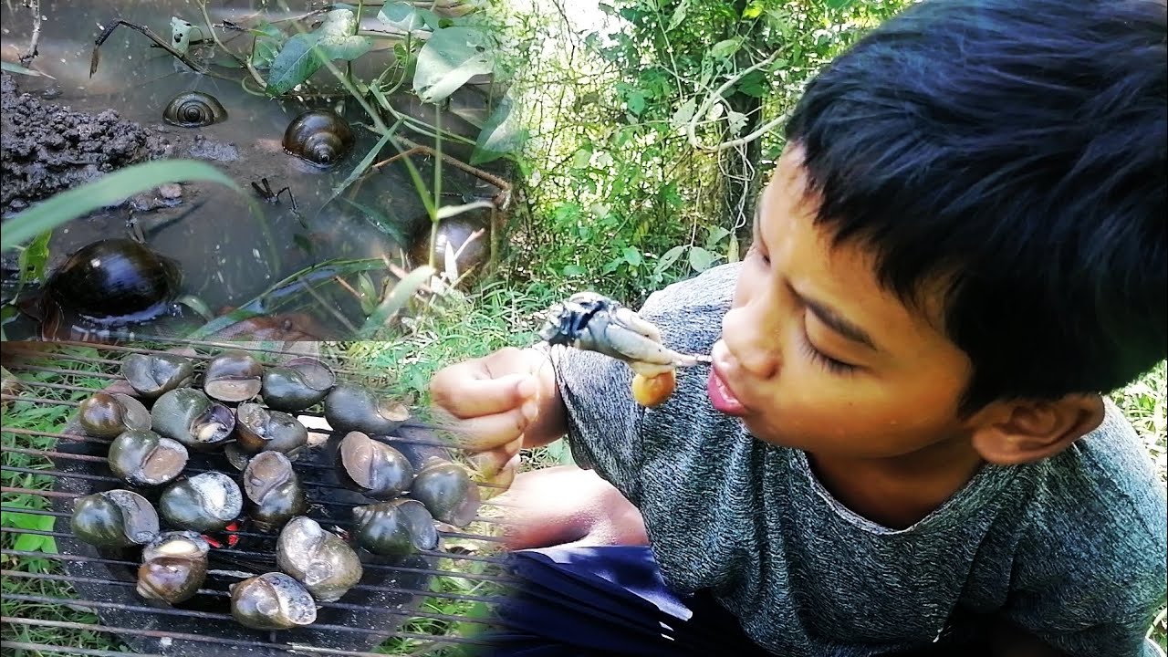 Amazing ខ្យងអាំងទឹកម្រេច- Roasted Snail with Pepper Sauce Recipe - YouTube
