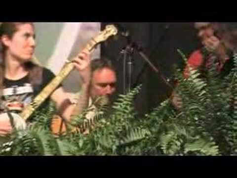 Steve Kaufman Acoustic Kamp Finale 2008